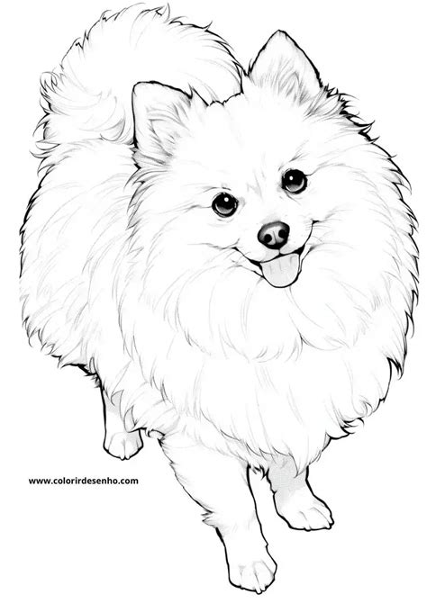 Cachorro Para Colorir Desenhos Para Colorir