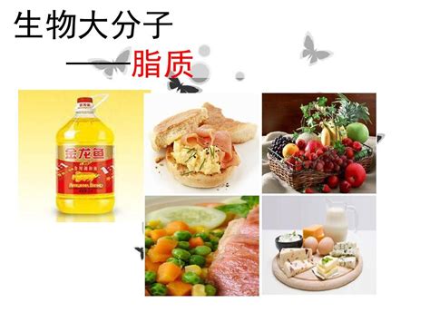 脂质word文档在线阅读与下载无忧文档