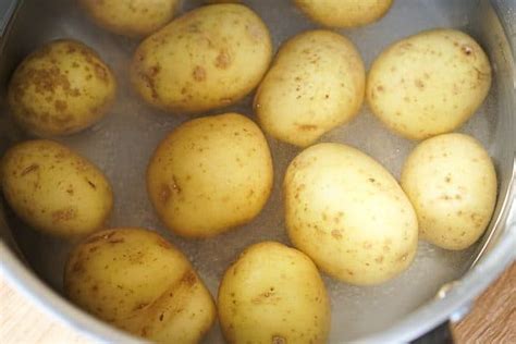Canarian Potatoes Recipe Papas Arrugadas