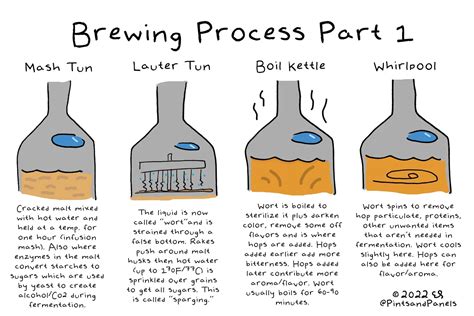 Beer 101 Brewing Process Part 1 — Pints And Panels
