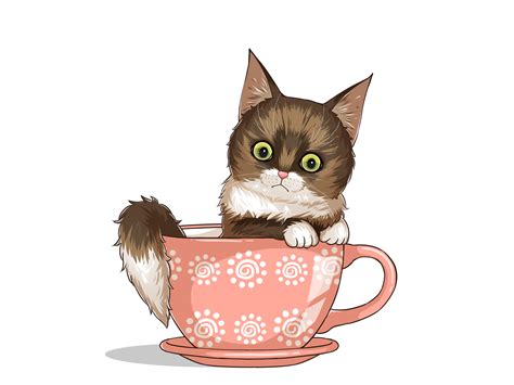 茶杯猫67 一个不重复的名12 站酷ZCOOL