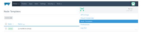 Rancher 2 3 3 Update Cant Create New Node Template To Use Existing Vsphere Template · Issue