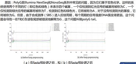 Fastp软件介绍 Csdn博客