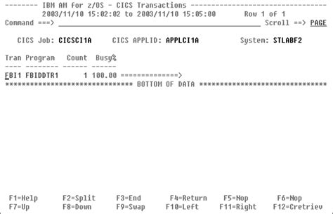 Data Set Analysis Reports Using IBM Application Development Tools For