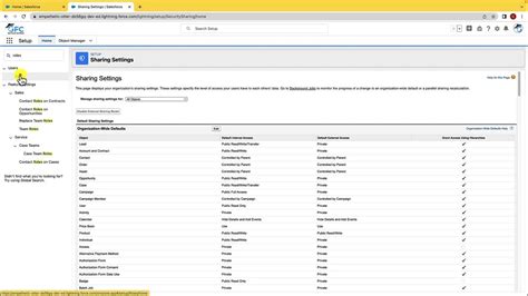 Salesforce Associate Certification Roles And The Role Hierachy Youtube