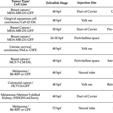 Macrophages Originate From Monocytes Or Tissue Resident Macrophages In