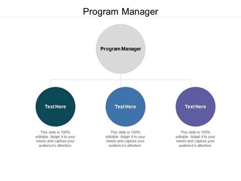Program Manager Ppt Powerpoint Presentation Deck Cpb Presentation Graphics Presentation