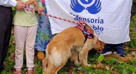 Sky La Perrita De La Sargento Karina Ramírez También Fue Liberada Por