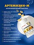 Артемизин-М (Artemizin-M), 90 таб., Арт Лайф: продажа, цена в Алматы ...