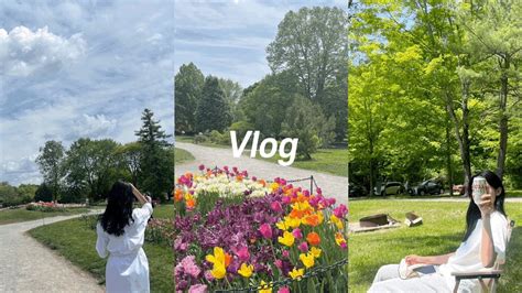 Vlog 🇺🇸 미국 일상 브이로그 뉴욕 주립공원 캠핑 🏕️ 튤립축제 🌷 Youtube