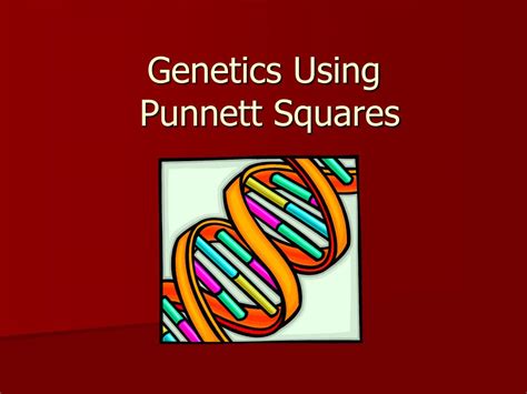 Ppt Genetics Using Punnett Squares Powerpoint Presentation Free