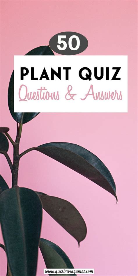 50+ Plant Quiz Questions and Answers - Quiz Trivia Games | Quiz questions and answers, Kids quiz ...