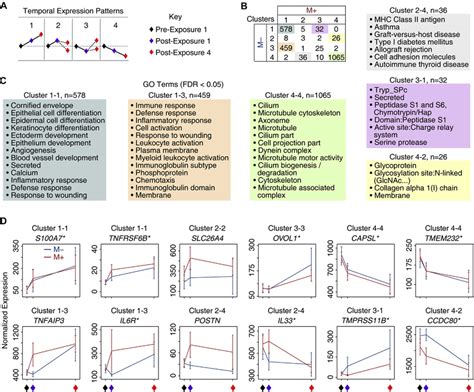 Temporal Pattern Of Gene Expression A Temporal Gene Expression Download Scientific Diagram