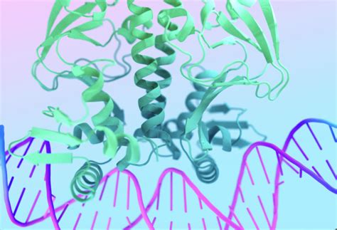 Google DeepMind Unveils Next Generation Of AI Drug Discovery Model The Innovator