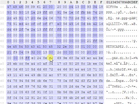 Shift Clickarrows In Hexeditor To Select Multiple Bytes By