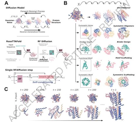De Novo Design Of Diverse Functional Proteins Using The Diffusion Model