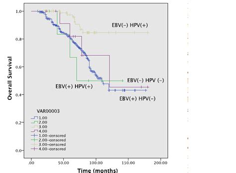 Cox Model Survival Analysis Significance In Logrank But Not In Cox