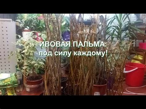 Плетеное дерево из ивы: опыт новичка - YouTube