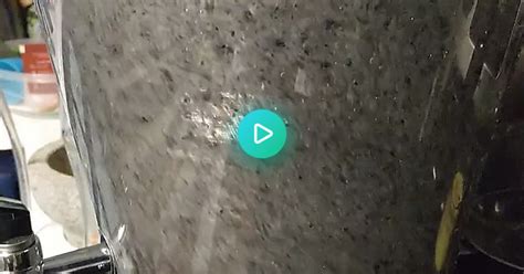 Basil In A Internal Loop Bioreactor Album On Imgur