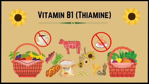 Vitamin B1 Thiamine