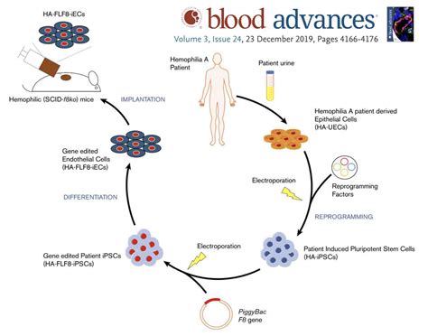 Gene Therapy A Promising Biotechnology For The Treatment Of Genetic