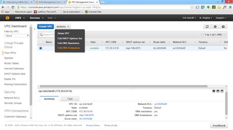mobile developer — aws ec2 enable public dns hostname