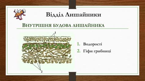 Презентація Лишайники