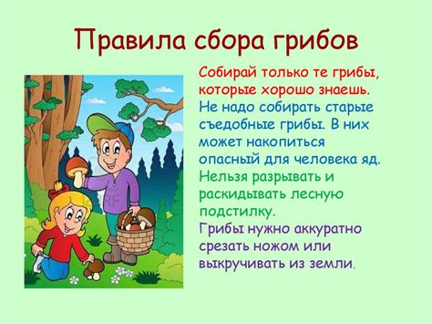 Съедобные и ядовитые грибы презентация онлайн