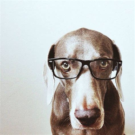 Ap Statistics Chapter 4 Experimental Design Quiz