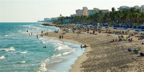 Un Tiburón Mordió En La Cara A Un Surfista En Una Playa De Florida