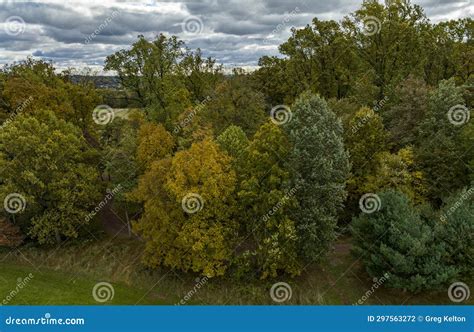 Aerial View Of A Group Pf Trees Starting To Turn Color As Autumn
