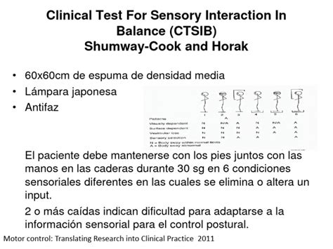 Ctsib Pdf