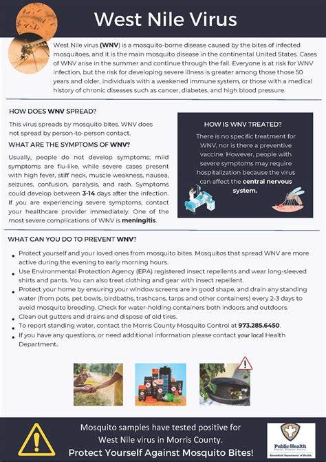 Prevent Mosquito Bites Morris County Nj