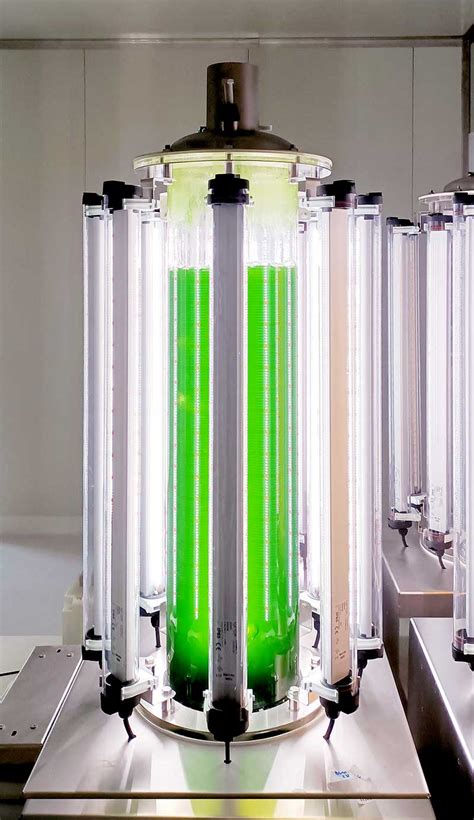 Chlorella Technology Farm