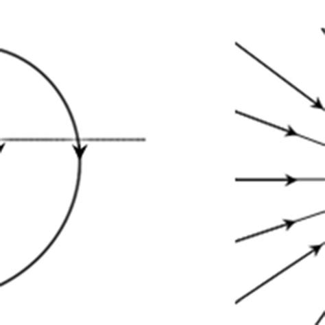Trajectories Of The Vector Fields X And Y Download Scientific Diagram