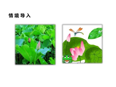 部编语文一年级下册课文13 荷叶圆圆 优质课件 Word文档在线阅读与下载 免费文档