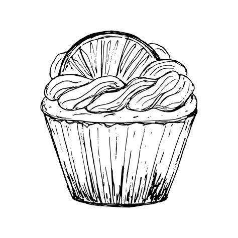Premium Vector Cupcake Vector Hand Drawn Illustration Citrus Mini