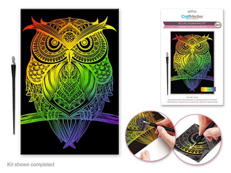 Craft Medley Kit Deluxe Engraving Art Diy Kit Rainbow Owl Crafts N