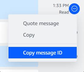 Deleting Sent Messages Amazon Chime
