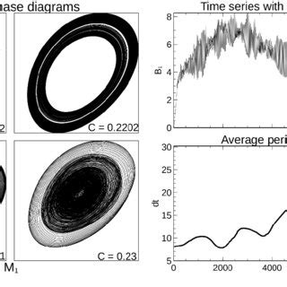 Phase Diagrams Left Panel Show Oscillations Of Total Amount Of