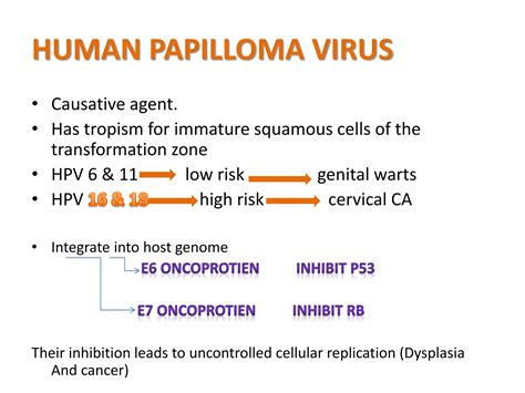Cervical Neoplasms Pptx
