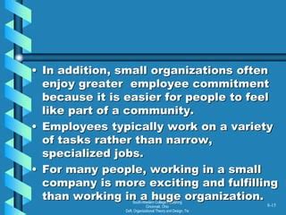 Organization Size Life Cycle And Decline Ppt