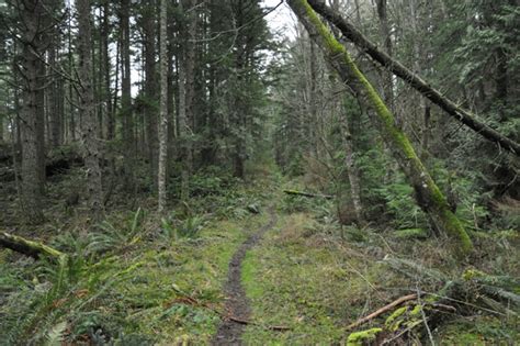 Baker Preserve Trail Lummi Island