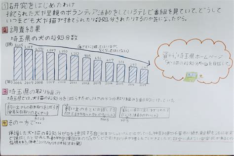 小学6年生の自由研究「犬の殺処分はなぜなくならないのか？」を監修