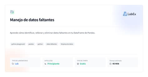 Manejo De Datos Faltantes En Pandas Labex