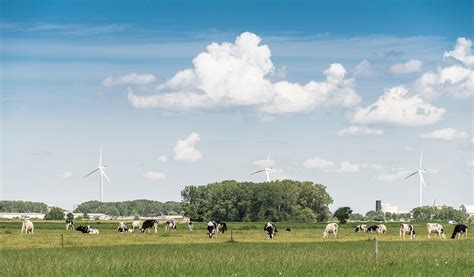 Groen Licht Voor Windparken Delfzijl En Karolinapolder Raad Van State