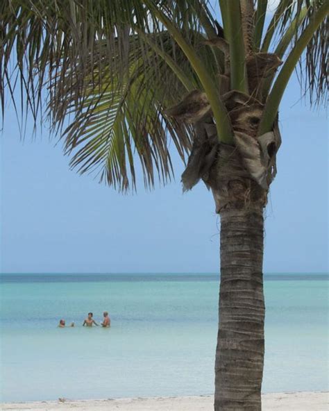 Nuestro árbol de Navidad Merry Christmas Mexicano holboxisland mexico