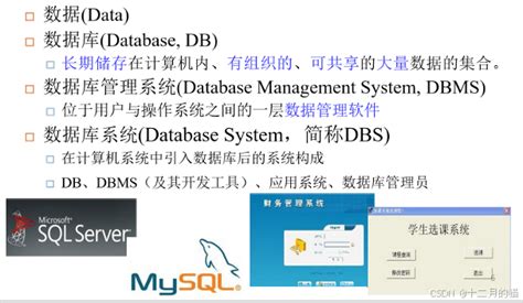 【大数据入门】第一二章·大数据与数据表示与存储数据是基础 Csdn博客
