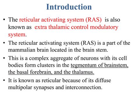 Reticular Activating System Pptx