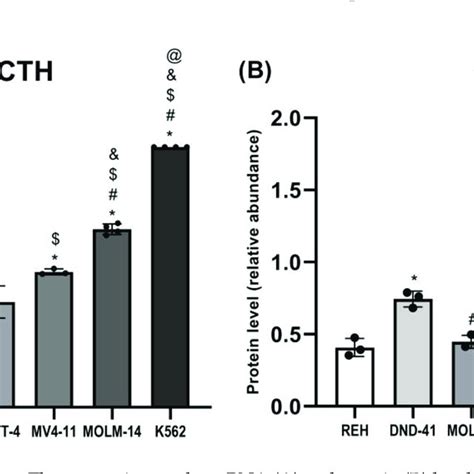 The Different Types Of Human Leukemia Cell Lines Created With Download Scientific Diagram